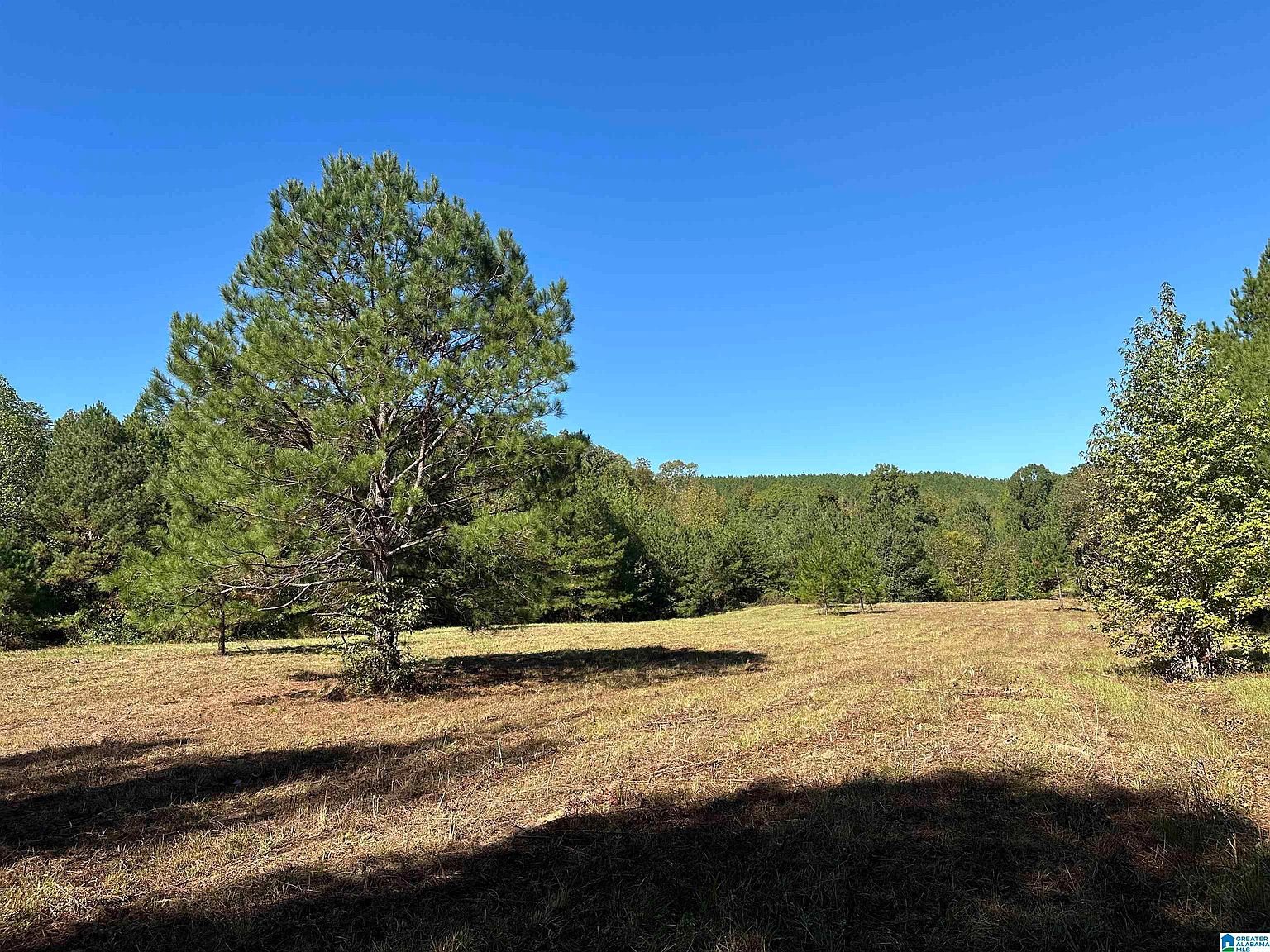 4434 County Road 86 #1, Calera, AL 35040 | MLS #21400213 | Zillow