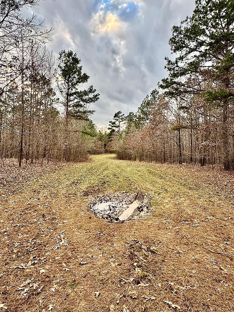 0 Hardaway Chapel Rd, Michigan City, MS 38647 | MLS #160028 | Zillow