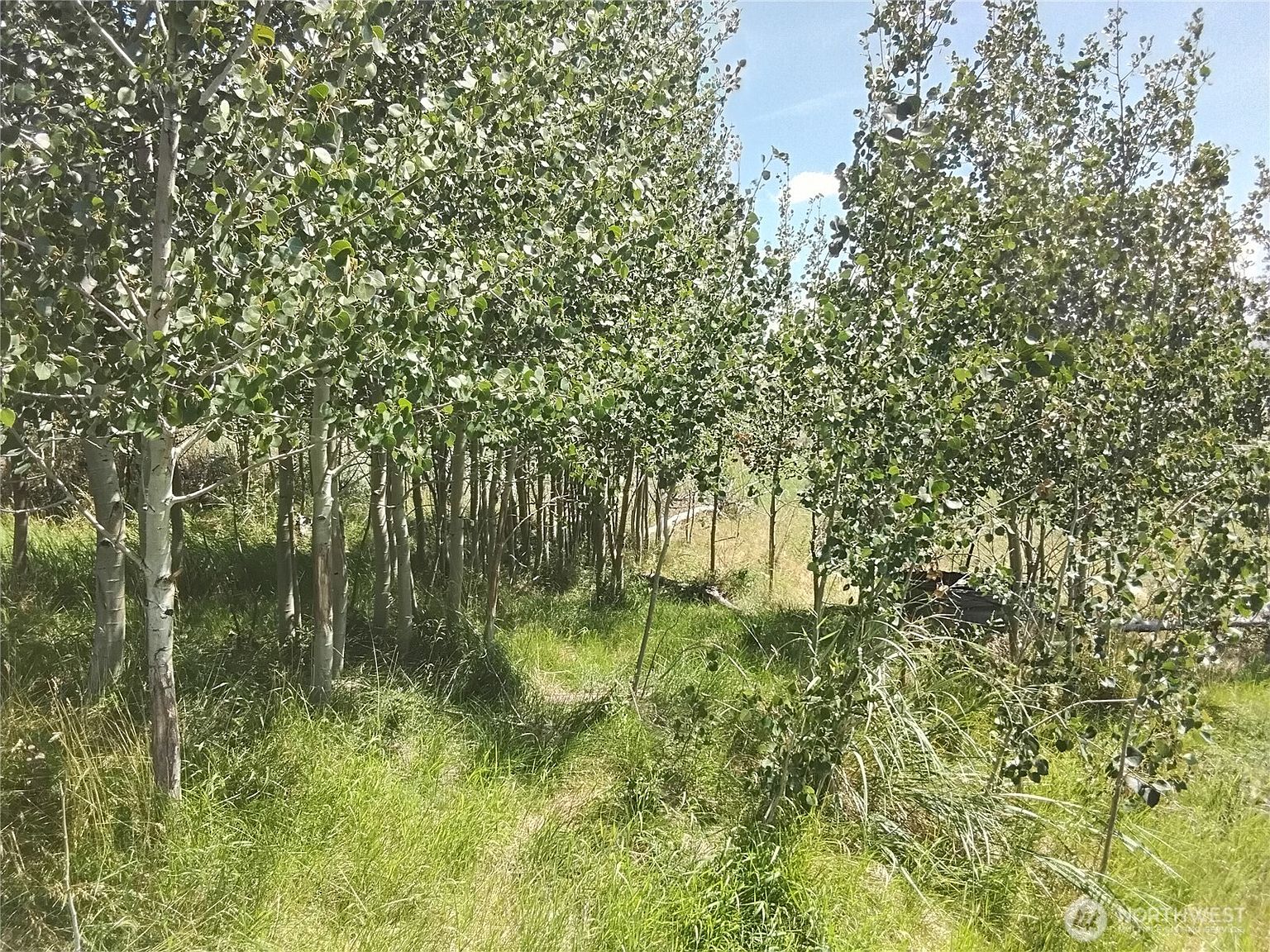 0 Painted Rock Road, Tonasket, WA 98855 | Zillow