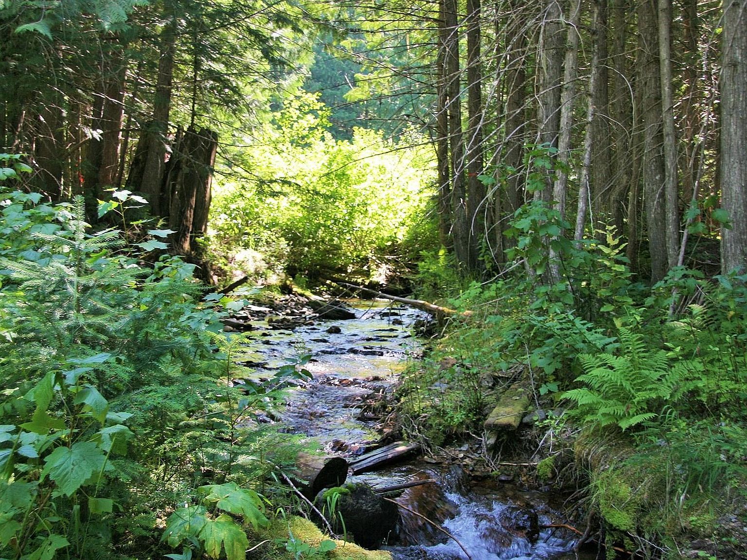 7000 Moon Pass Rd, Wallace, ID 83873 | Zillow