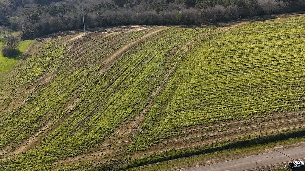 3 Gilley Mill Rd, Webb, AL 36376 | MLS #202807 | Zillow