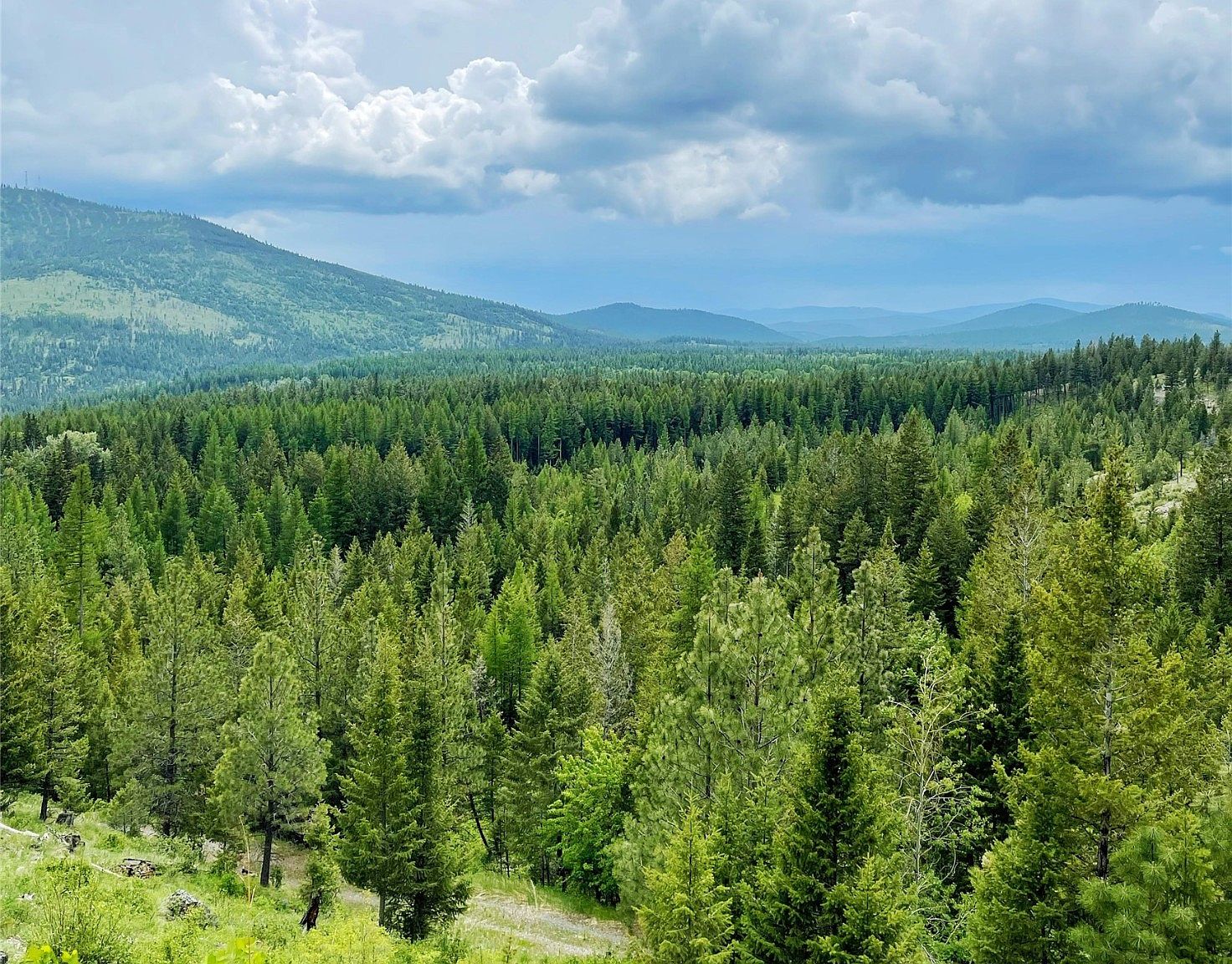 Nhn Idaho Hill Rd, Marion, MT 59925 | Zillow