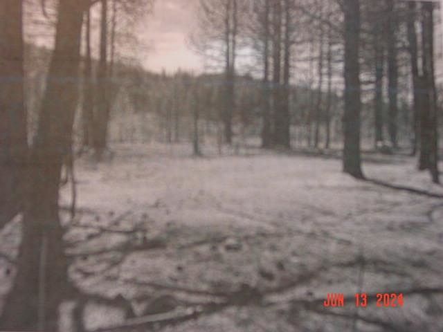 10569 Dixie Valley Rd, Chilcoot, CA 96105 | Zillow