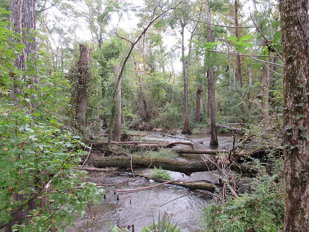 1451 Elmodel Hwy, Leary, GA 39862 | Zillow