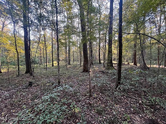 0 Percy Davis Rd, Bolton, MS 39041 | MLS #4096427 | Zillow