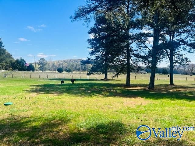 614 Johnson Landing Rd, Valhermoso Springs, AL 35775 | MLS #1829411 ...