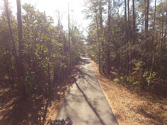 Castor Plunge Rd, Woodworth, LA 71485 | MLS #11254569 | Zillow