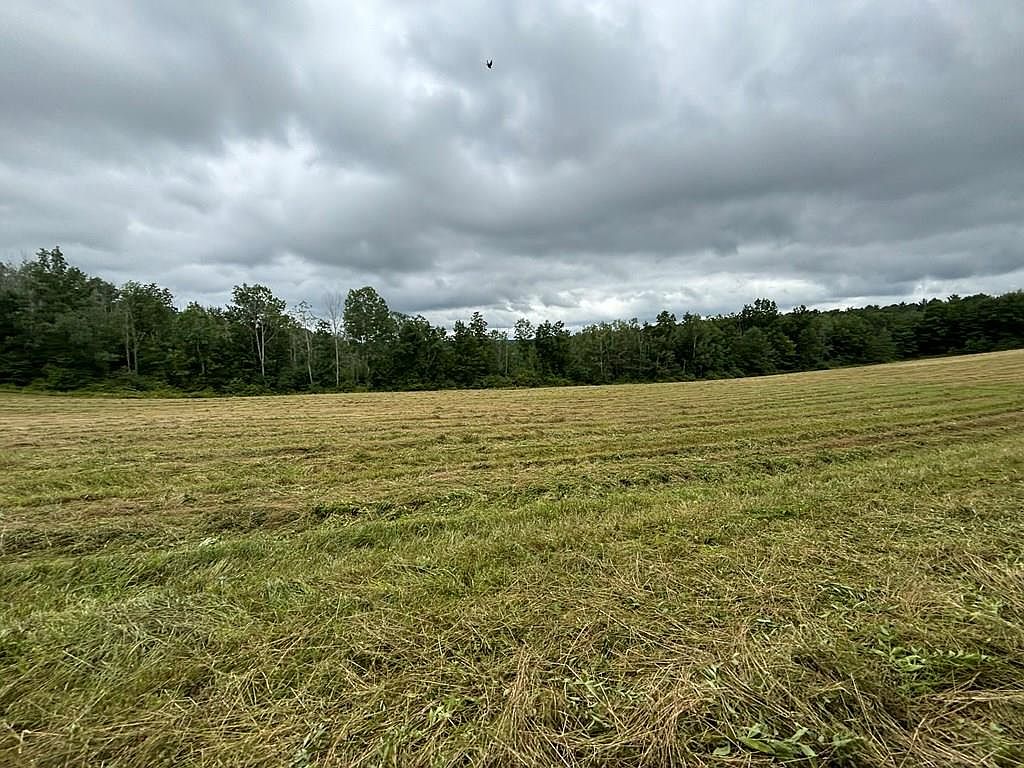 0 Browntown Rd LOT 3, Lindley, NY 14858 | MLS #276199 | Zillow