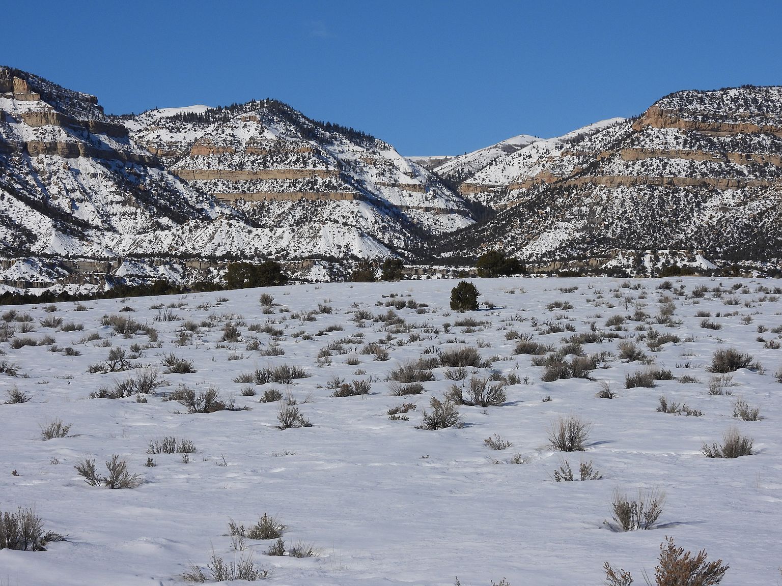 Consumers Rd, Helper, UT 84526 | MLS #11172435 | Zillow