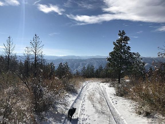 0 Entiat River Road, Ardenvoir, WA 98811 | MLS #1790956 | Zillow