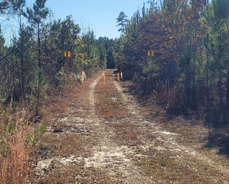 0 George Warren Dr, Williams, SC 29493 | Zillow