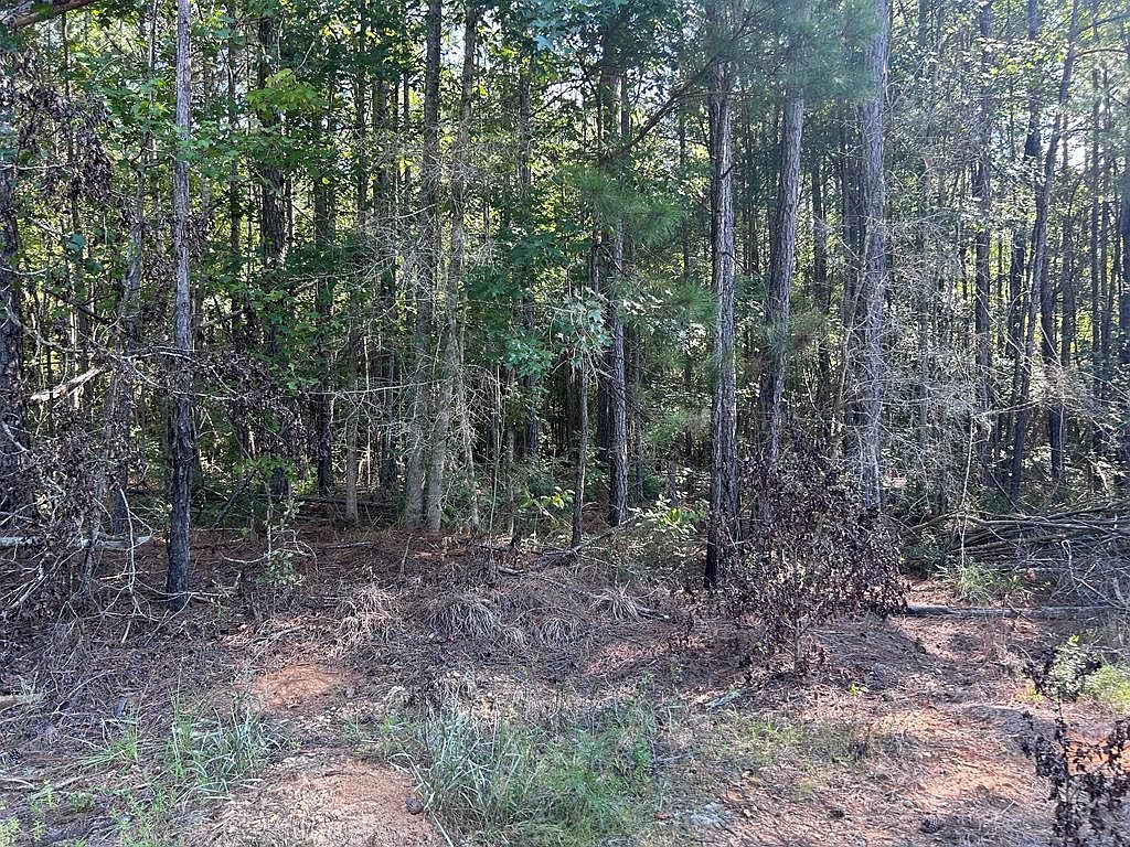 6 Mallard Trl, Summit, MS 39666 | MLS #143111 | Zillow