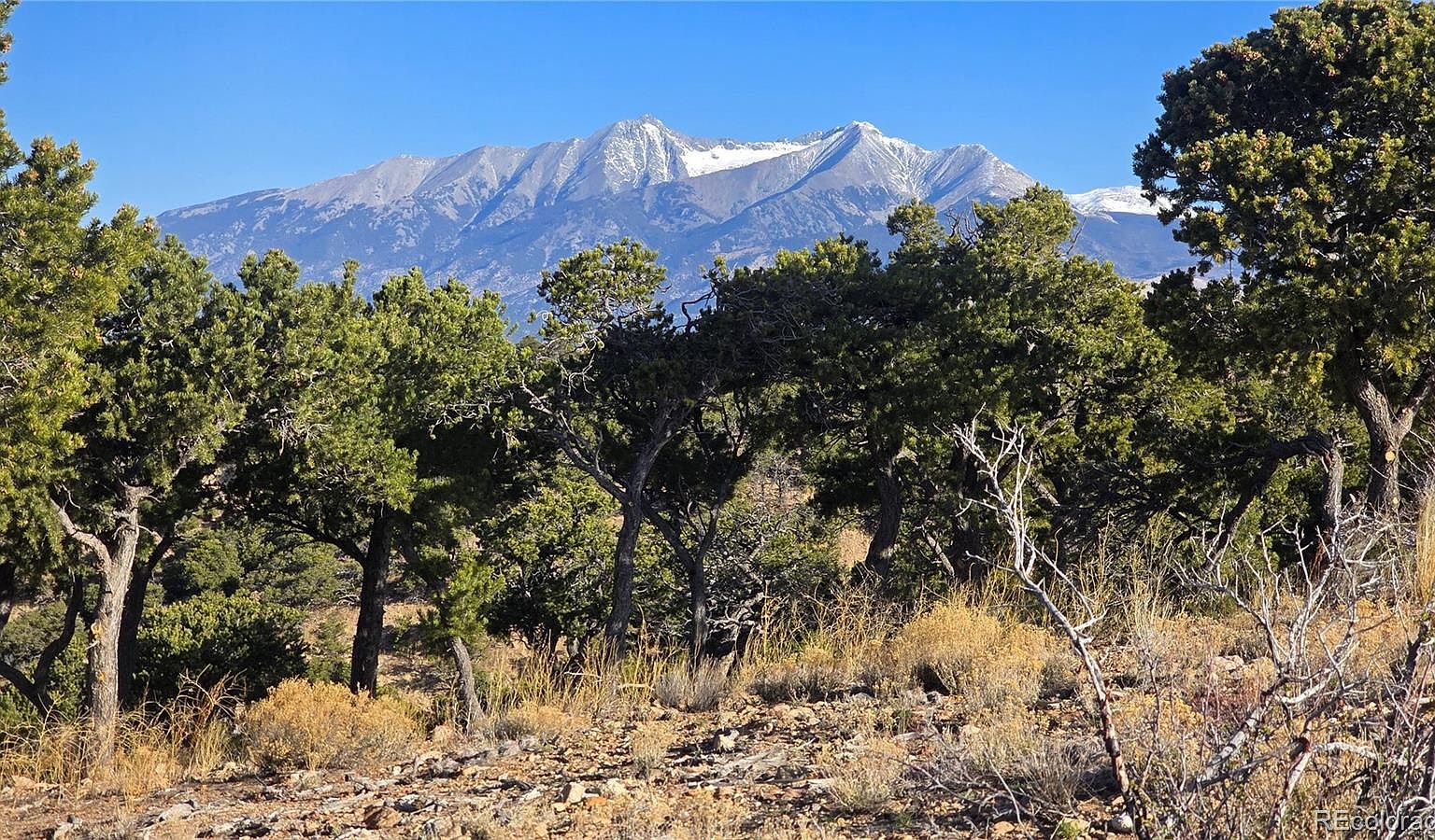 Lot 3859 Murray Road, Fort Garland, CO 81133 | MLS #8228021 | Zillow