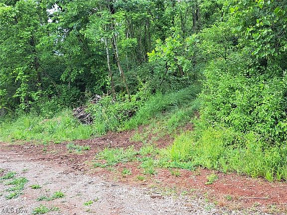 0 State Route 265, Salesville, OH 43778 | Zillow