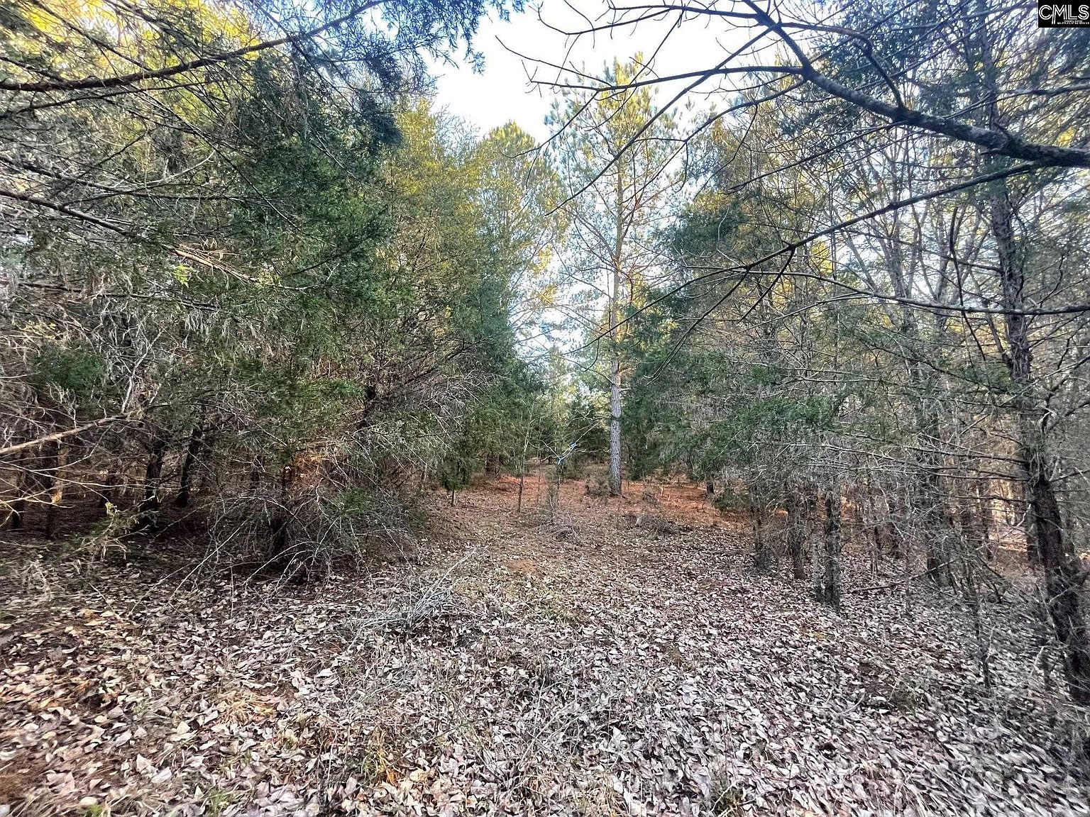 TRACT 3 State Highway 219, Pomaria, SC 29126 | Zillow