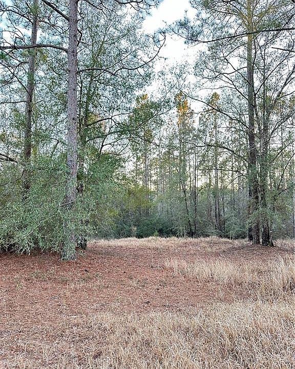 0 Lake Haven Dr E #38, Semmes, AL 36575 | MLS #7337404 | Zillow 0 Lake Haven Dr E #38, Semmes, AL 36575 | MLS #7337404 | Zillow