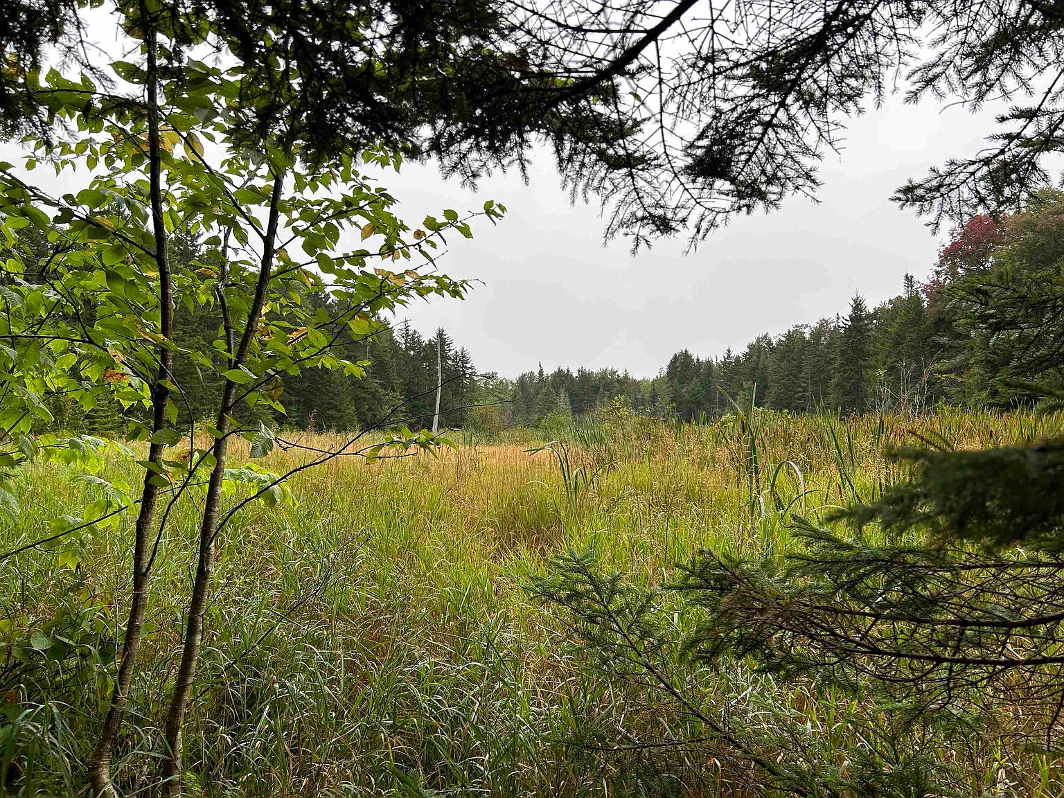 1625 VT Route 9, Wilmington, VT 05363 | Zillow