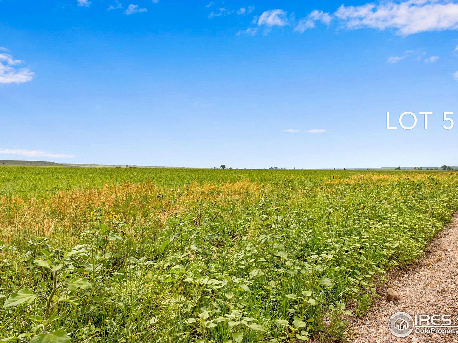 5 TBD County Road 17, Carr, CO 80612 | MLS #1021847 | Zillow