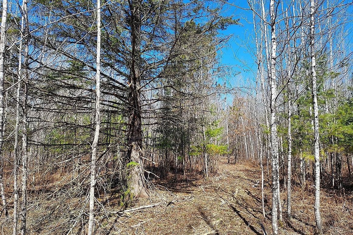 202 Burrows Lake Rd, Tomahawk, WI 54487 | MLS #11473403 | Zillow