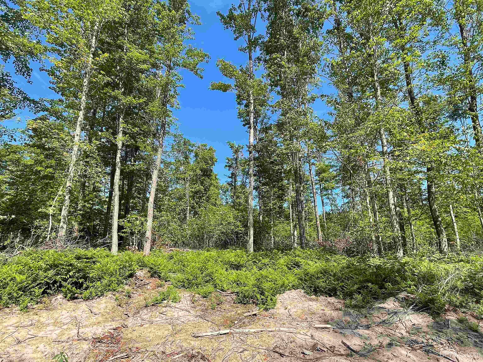 Camp S #23, Germfask, MI 49836 | Zillow