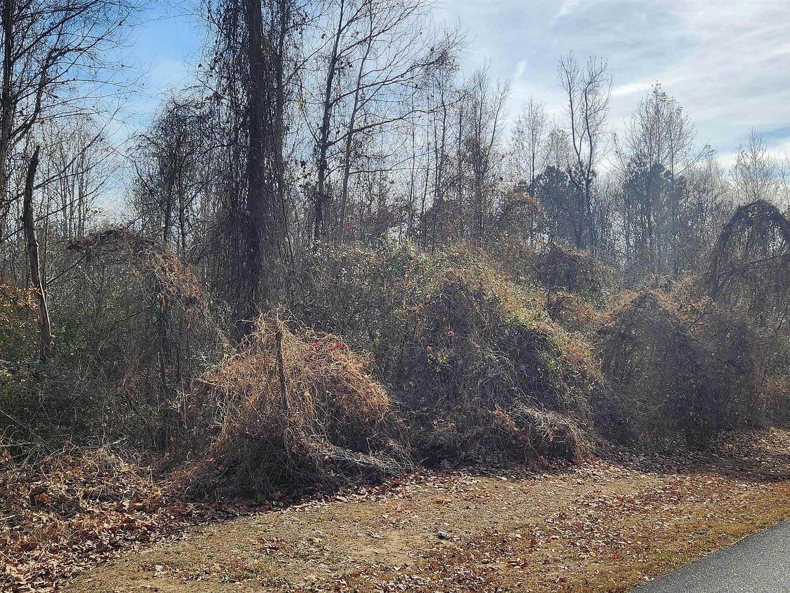 Blevins Rd, Falkville, AL 35622 | MLS #21848568 | Zillow