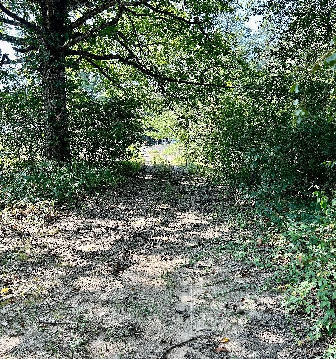 3671 Highway 9, Solgohachia, AR 72156 | Zillow