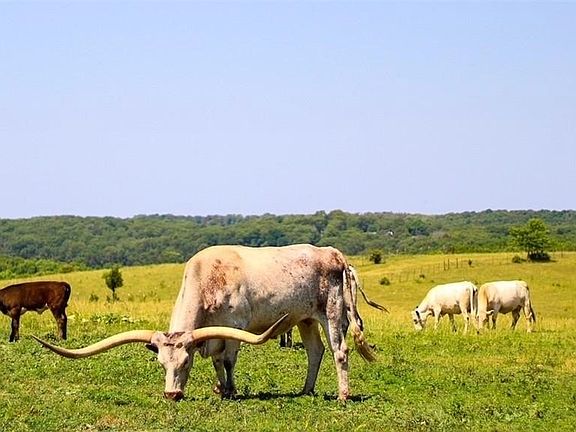 County Side Rd, Iberia, MO 65486 | MLS #3559684 | Zillow