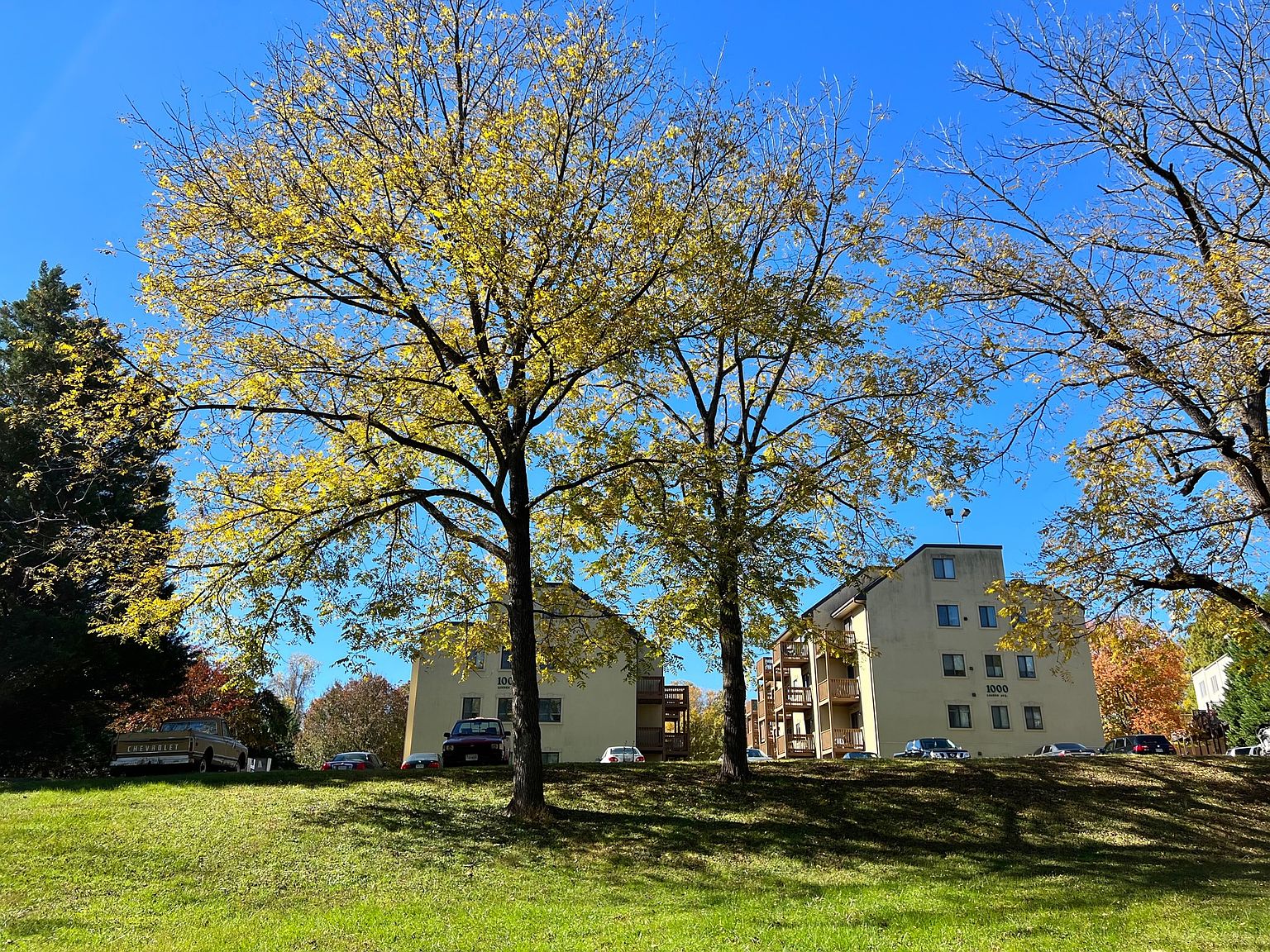 1000 Linden Ave #305, Charlottesville, VA 22902 | Zillow