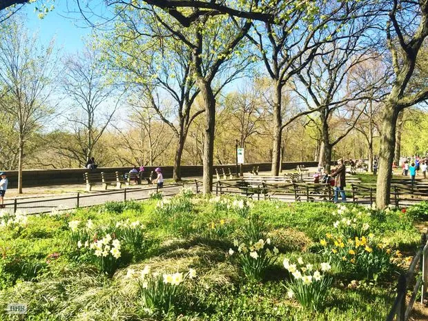 360 Riverside Drive #4A in Upper West Side, Manhattan | StreetEasy