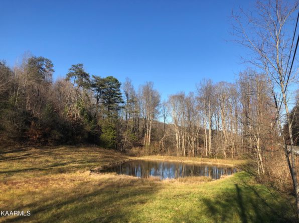 Newcomb Real Estate - Newcomb TN Homes For Sale | Zillow