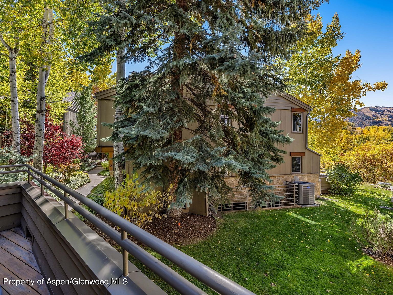 100 N 8th St UNIT 11, Aspen, CO 81611 | MLS #185280 | Zillow