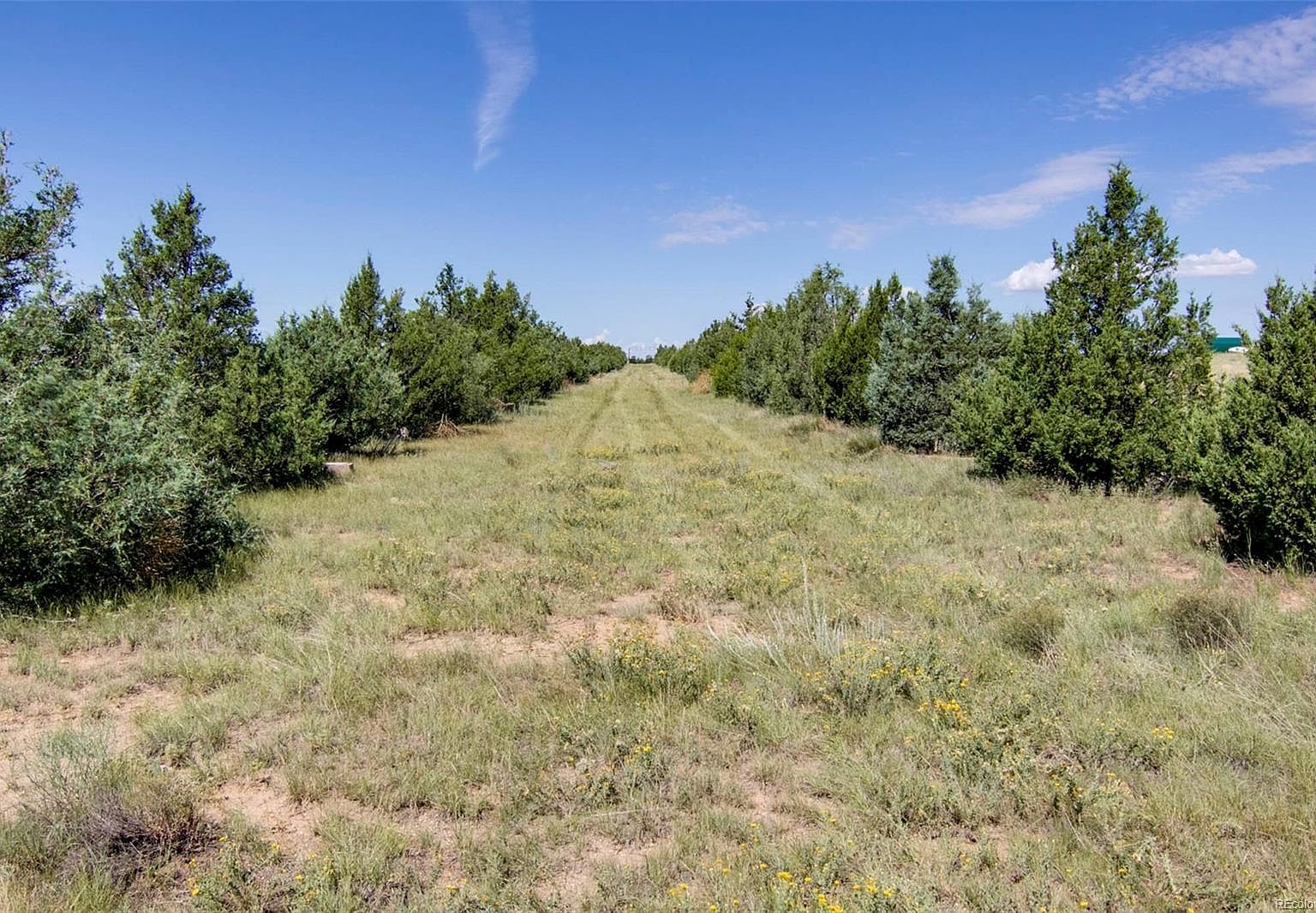 2150 S Edison Rd, Yoder, CO 80864 | Zillow