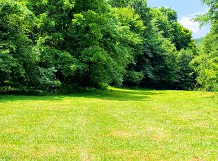 1135 Angel Valley Rd, Winfield, TN 37892 | MLS #1128496 | Zillow
