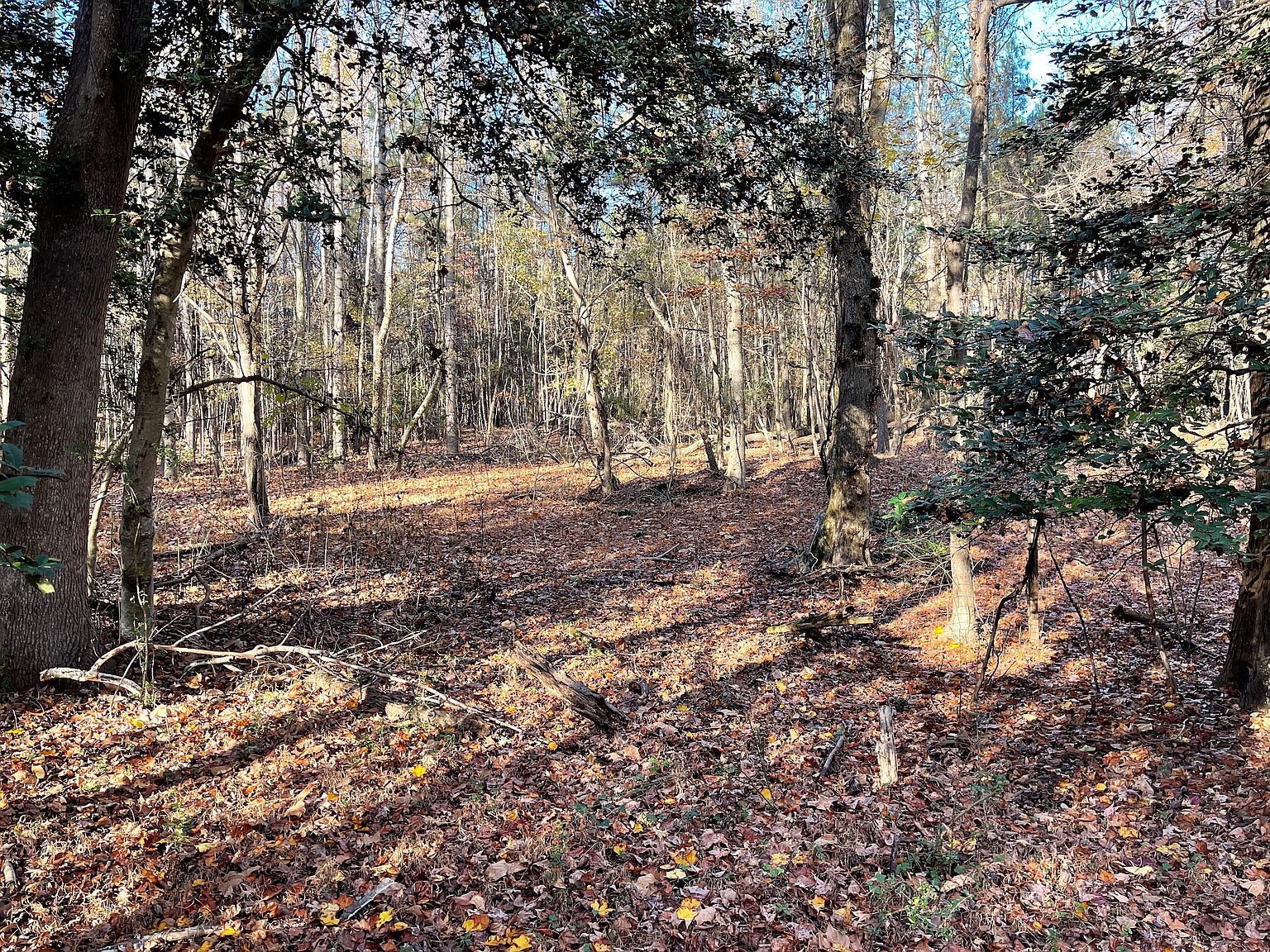 9224 Dukes Lake Rd LOT WP0001, Zebulon, NC 27597 | Zillow