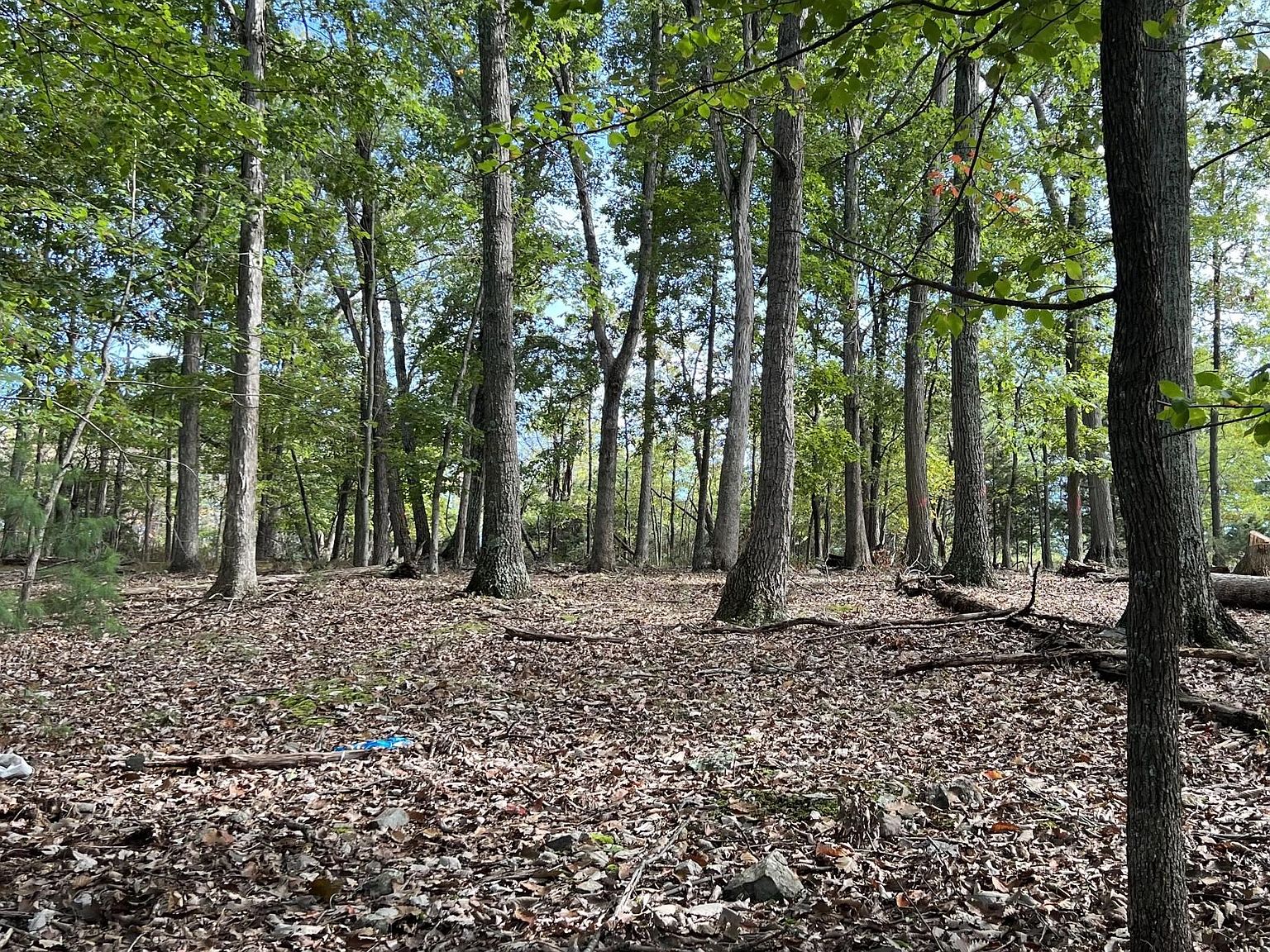 Janes Way Lot 27, High View, WV 26808 | Zillow