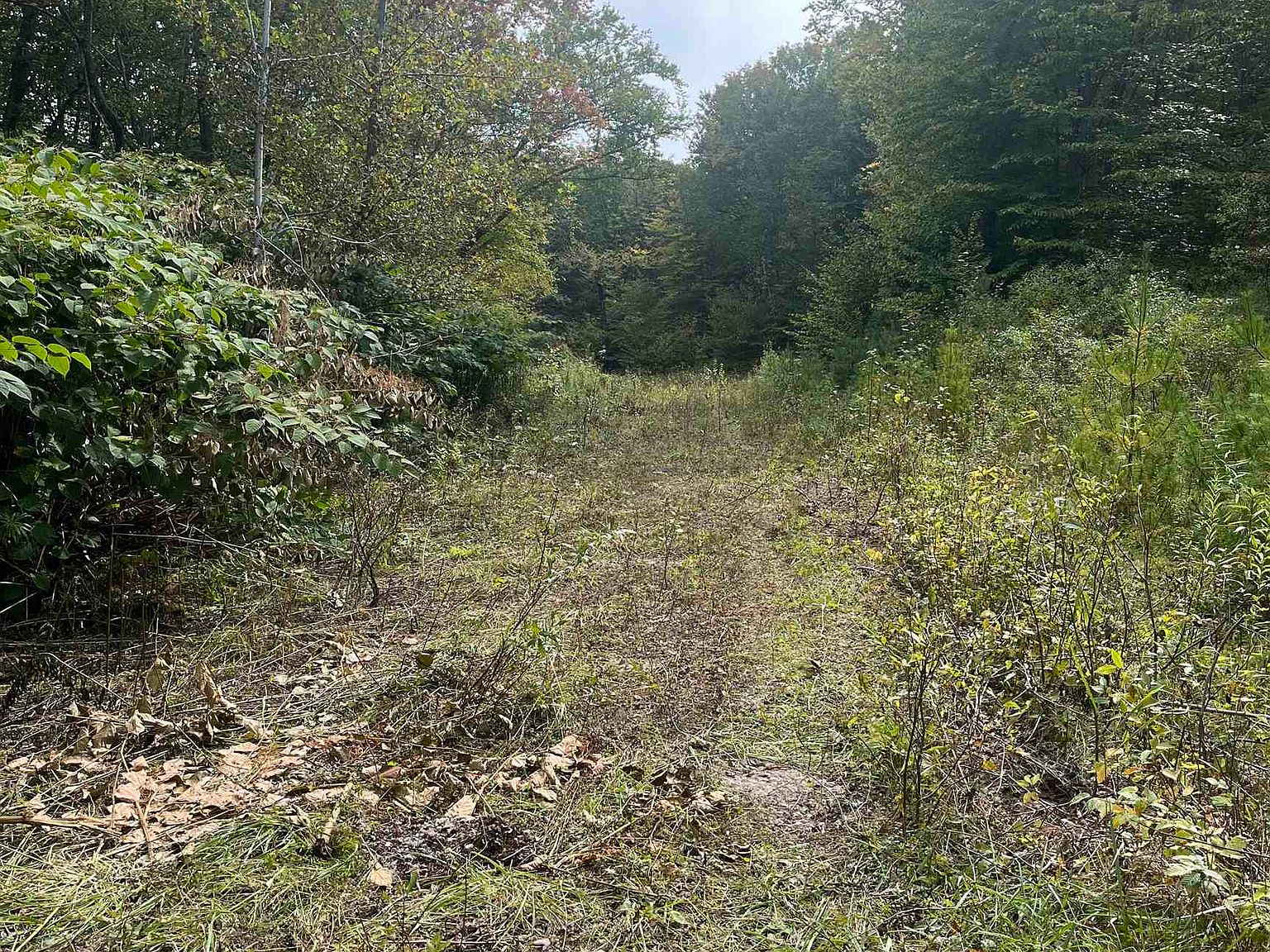 0 Whitmore Brook Road, Chester, VT 05143 | Zillow