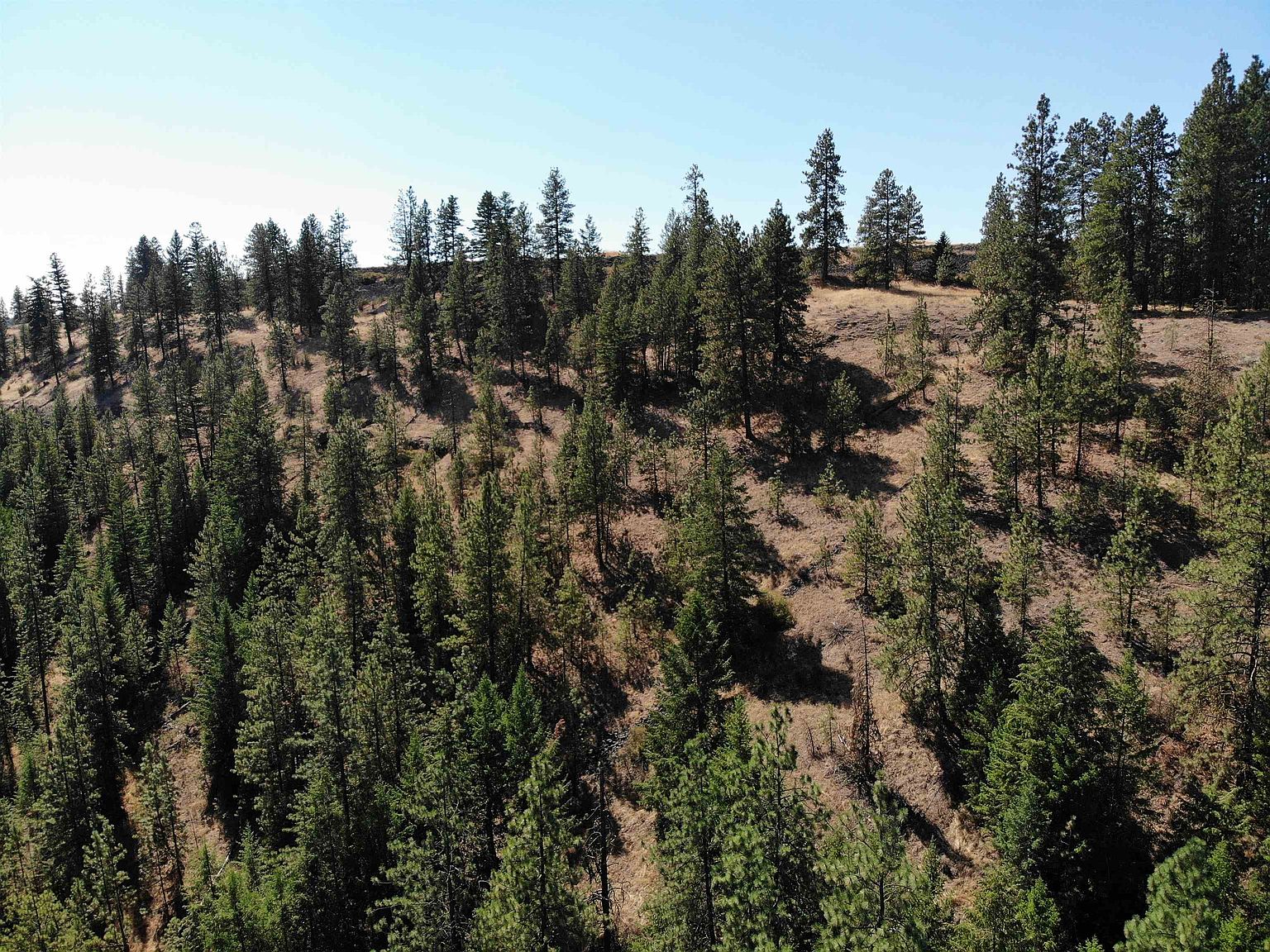 Hawk Creek Ranch Rd N, Davenport, WA 99122 | Zillow