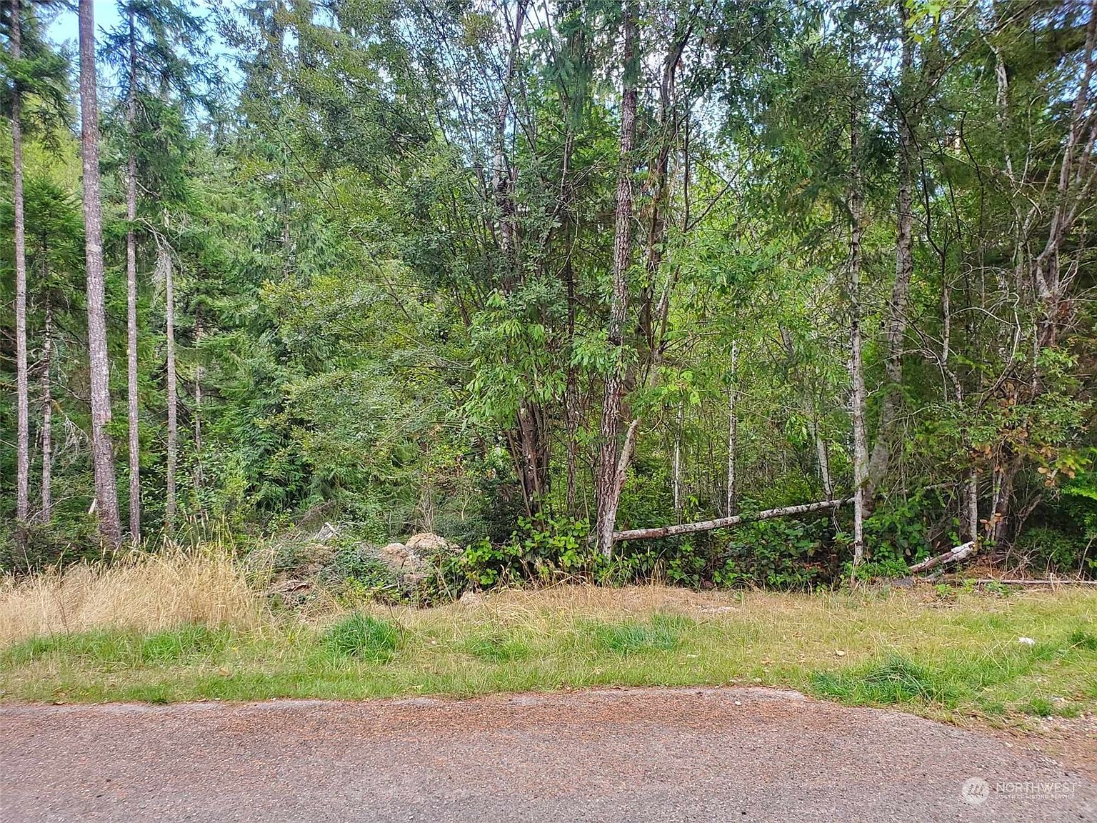 190 E Peebles Court, Shelton, WA 98584 | MLS #2160333 | Zillow