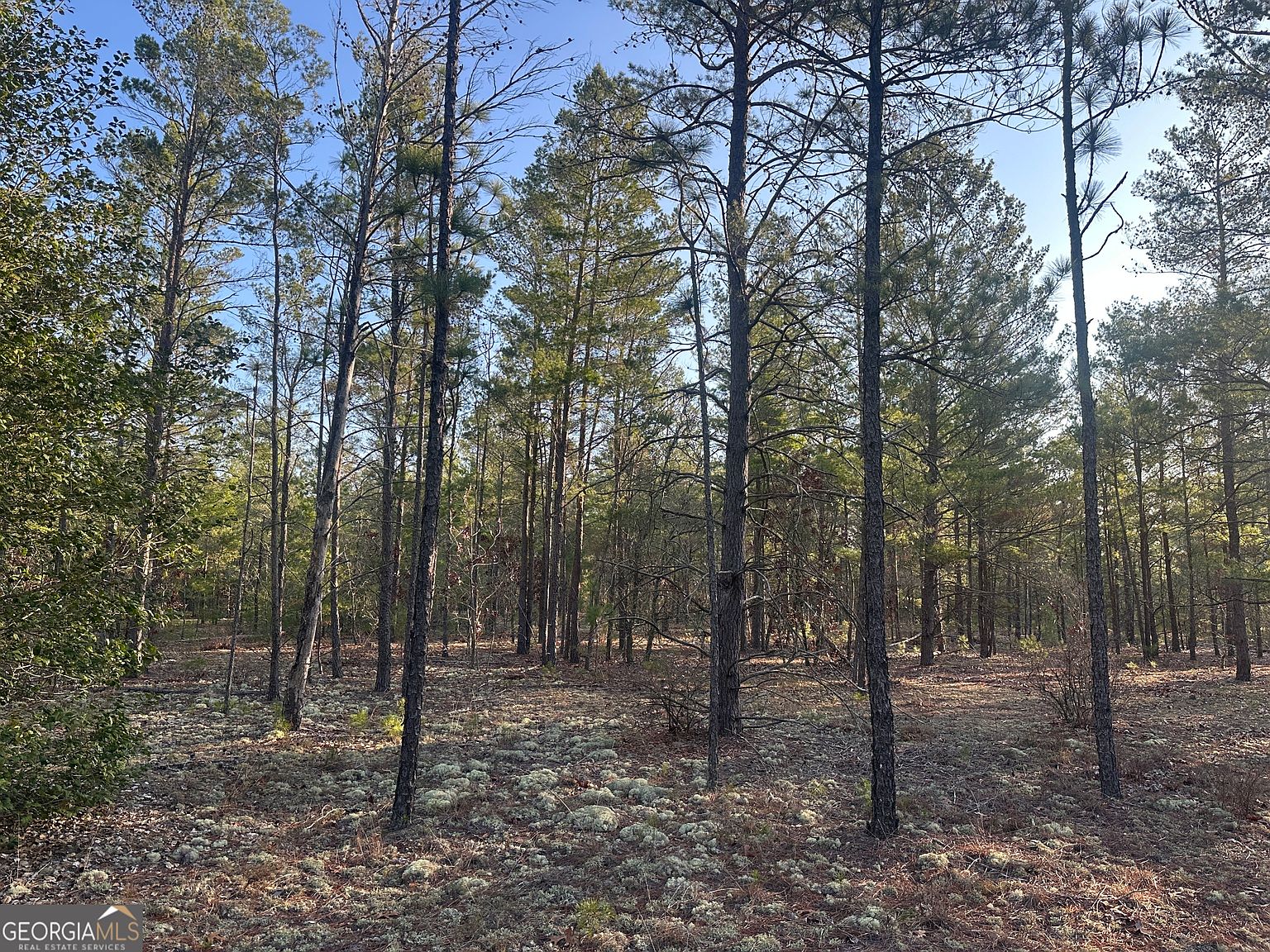 2 Horne Rd, Roberta, GA 31078 | Zillow