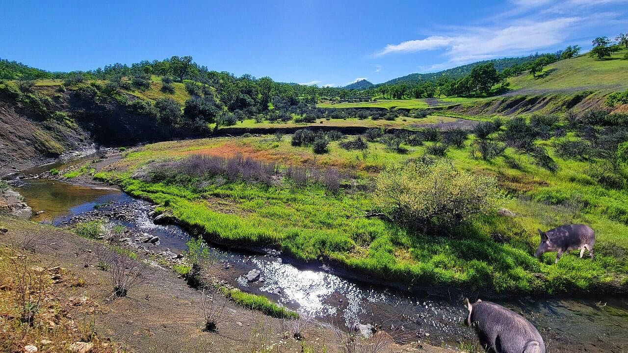 LOT 4 Bland Rd, Igo, CA 96047 | Zillow