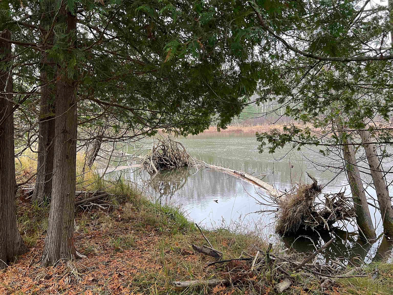 Long Rapids Rd, Alpena, MI 49707 | Zillow