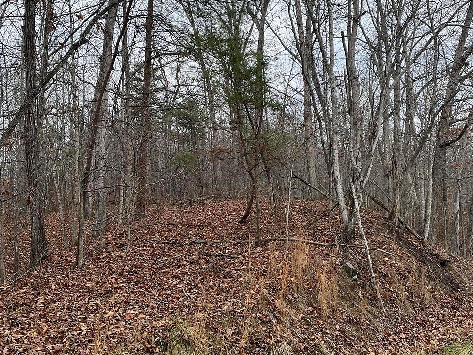 3504 E Fork Rd, Means, KY 40346 | MLS #23024184 | Zillow