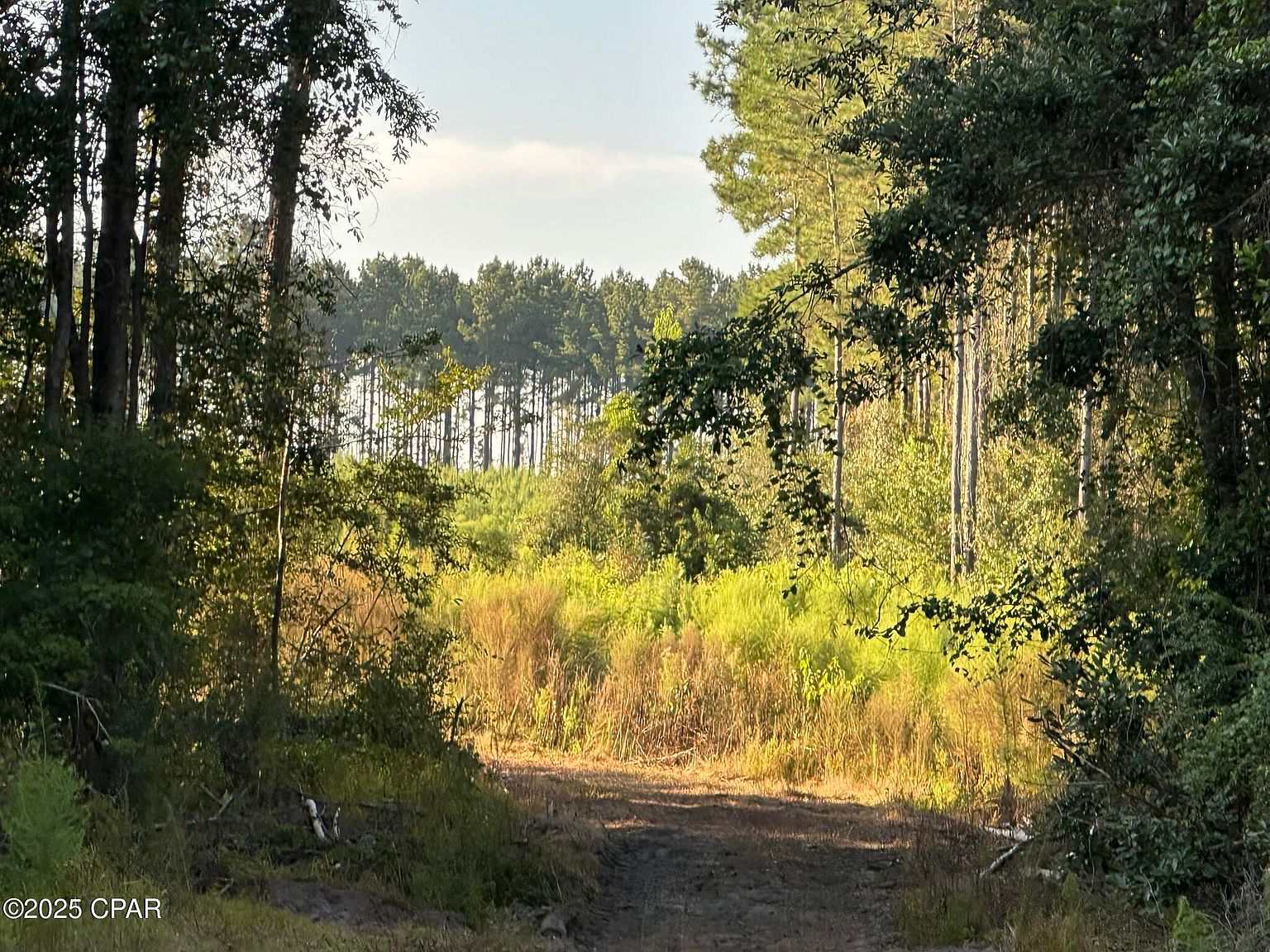 TRACT 6201 Doyle Morgan Rd, Defuniak Springs, FL 32433 | MLS #777985 ...
