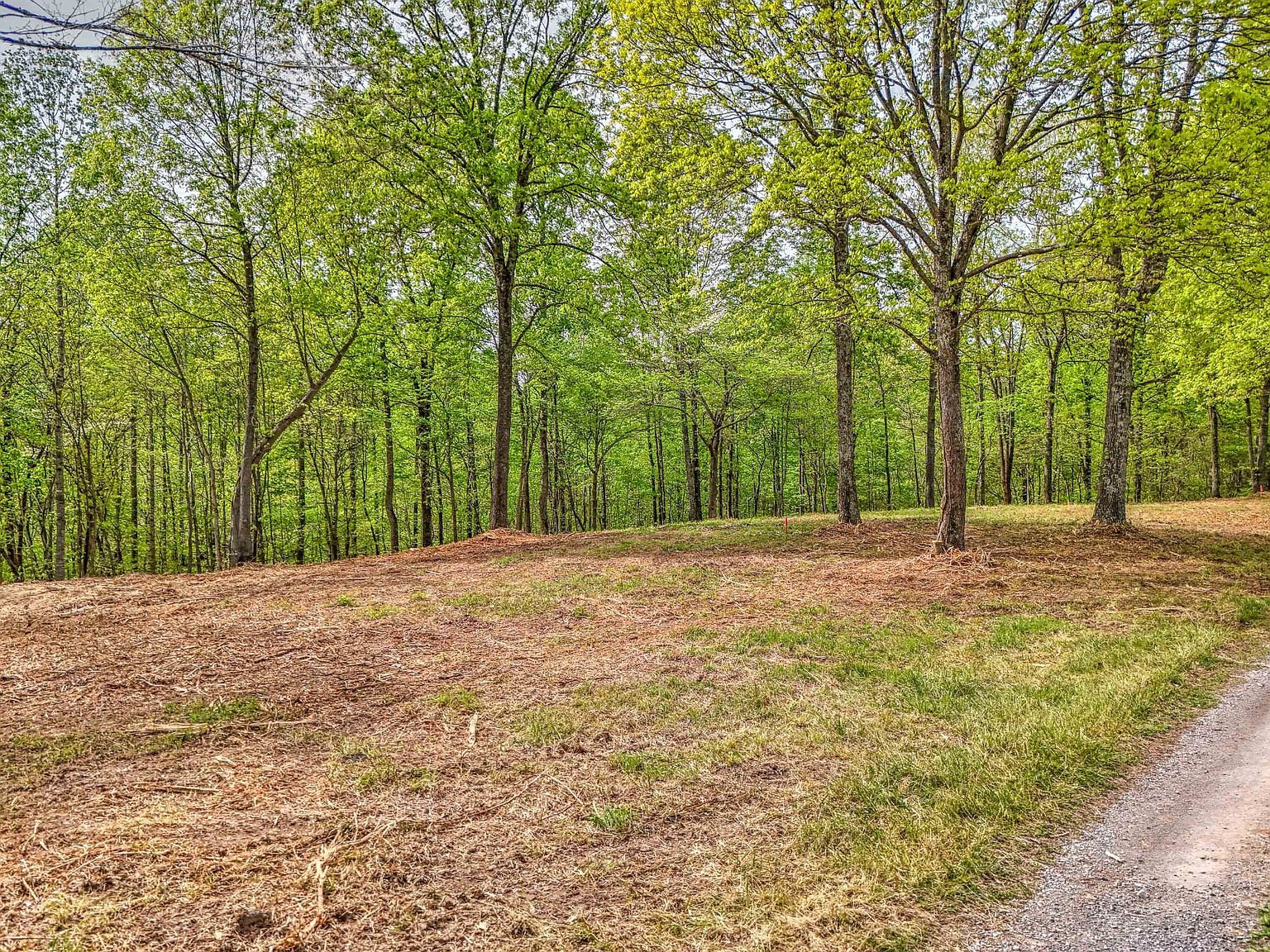 0 Rbk Ln, Bethpage, TN 37022 | MLS #2646856 | Zillow