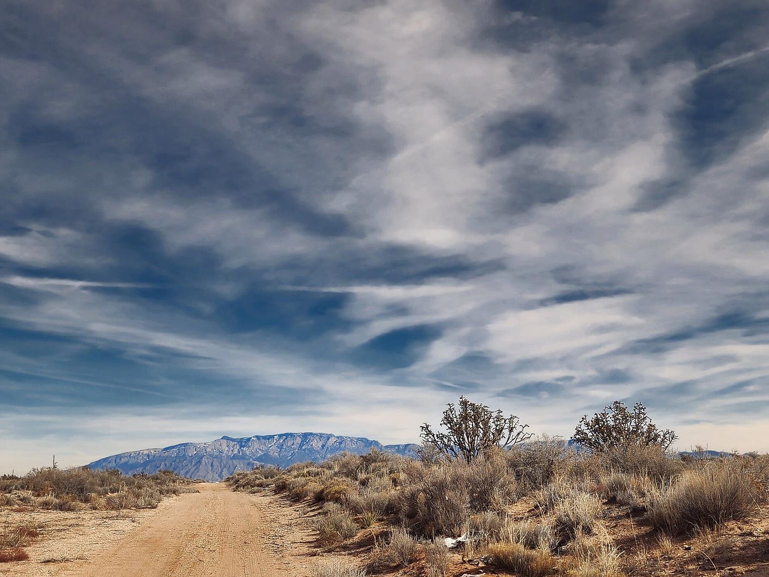 11th Ave SW, Rio Rancho, NM 87124 | Zillow