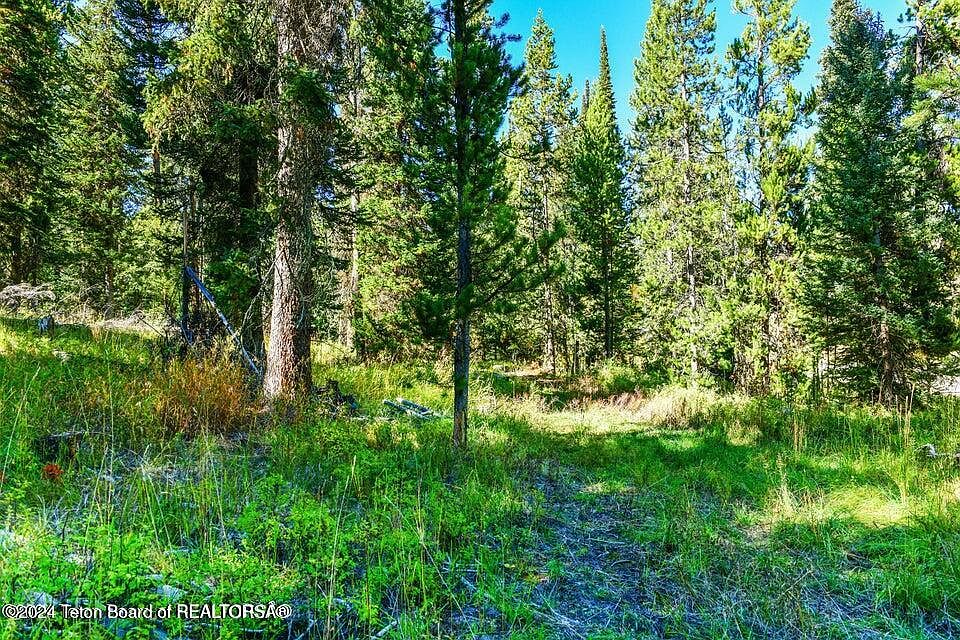 6050 N West St, Wilson, WY 83014 | MLS #24-2918 | Zillow