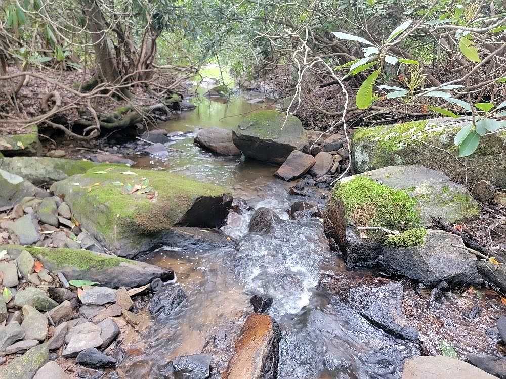 11499 Flat Ridge Rd, Troutdale, VA 24378 | Zillow