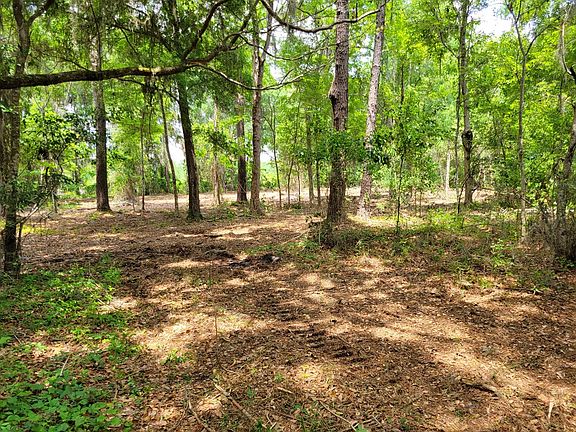 0E0 SE 150th St, Starke, FL 32091 | MLS #790652 | Zillow