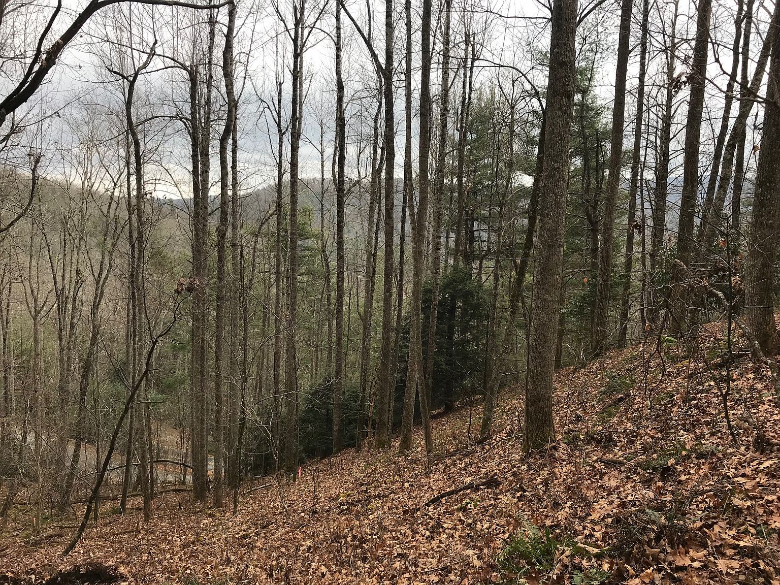 Russ Cornett Rd, Boone, NC 28607 | Zillow