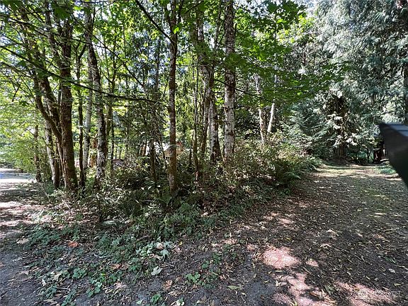 63781 E Cascade Drive, Marblemount, WA 98267 | MLS #2150688 | Zillow